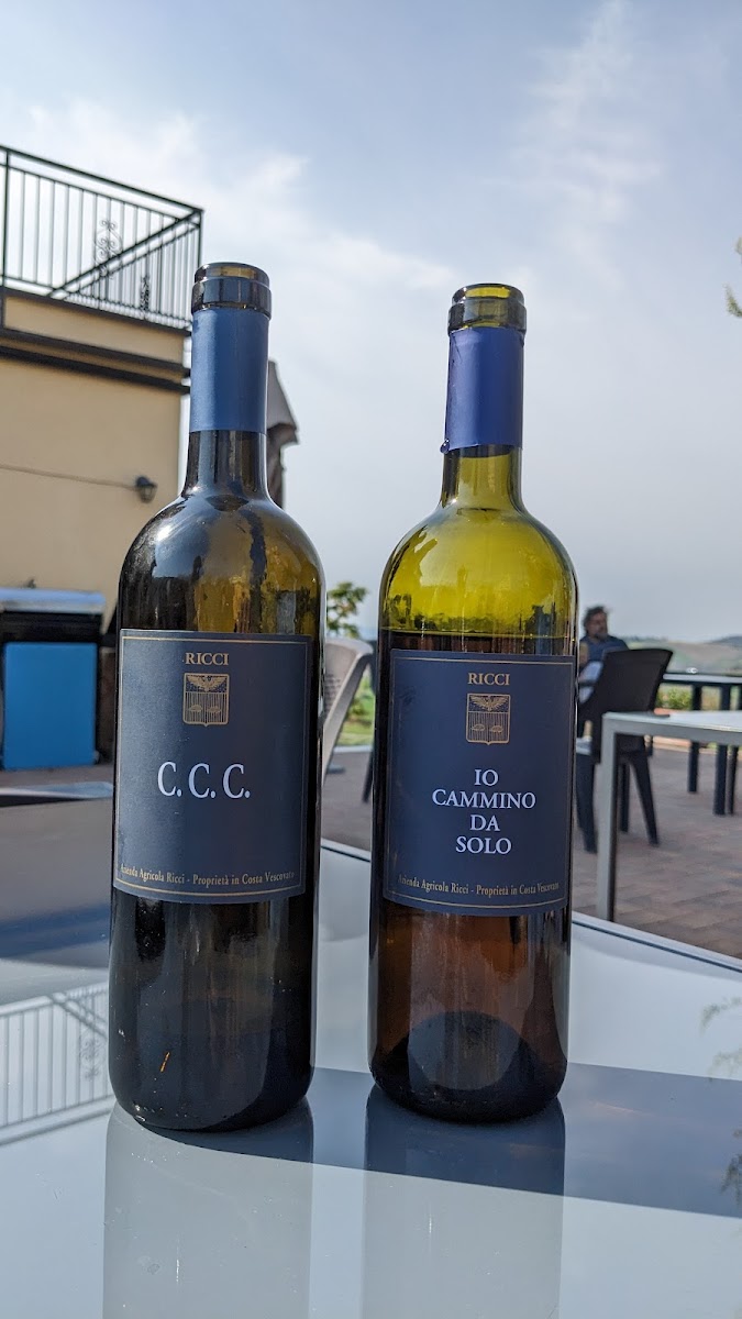 Locanda Costa dei Vigneti: Authentic Italian Pizza Regional Wines in ...